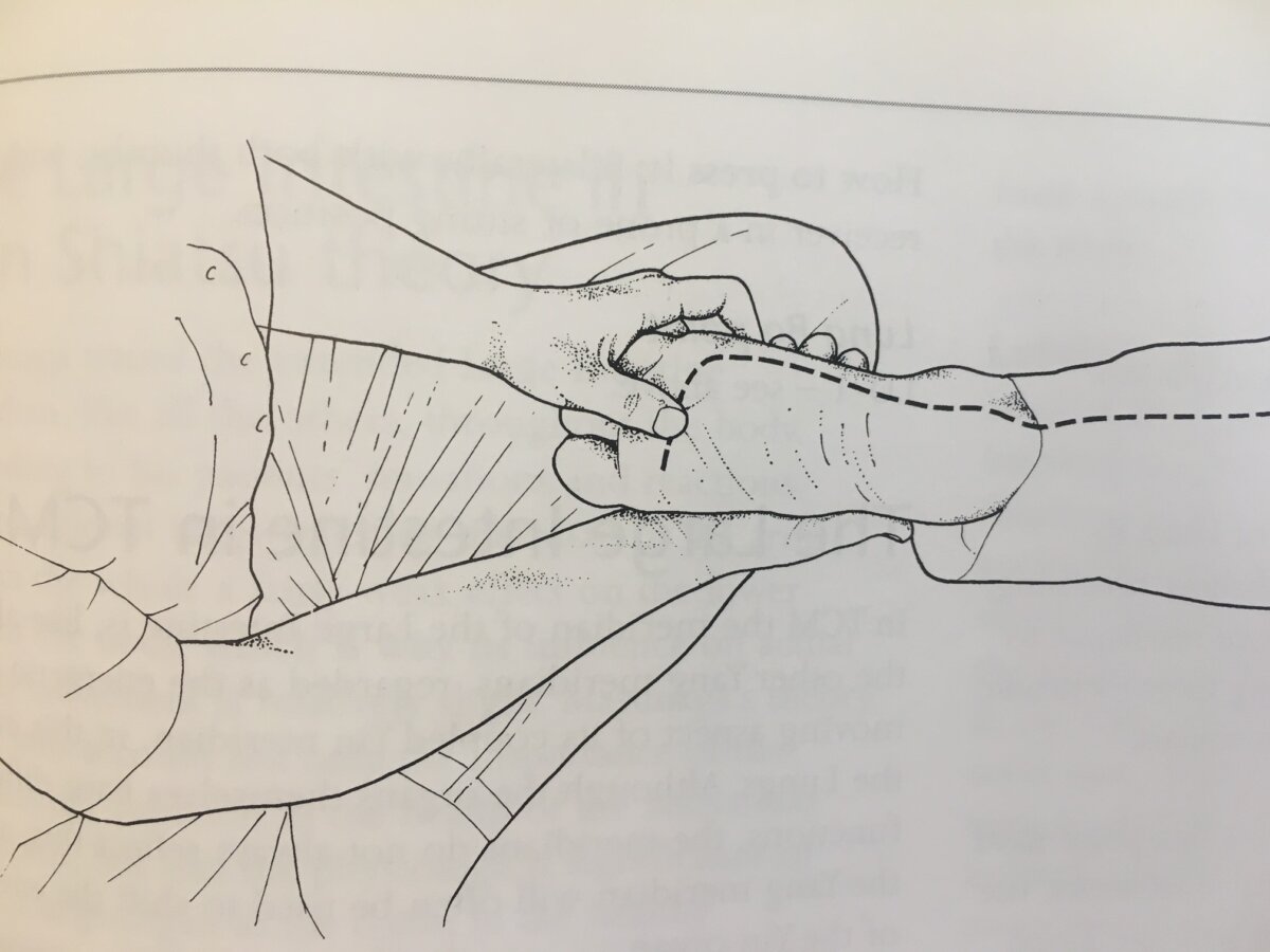 shiatsu drawing - Renew Health & Acupuncture Clinic